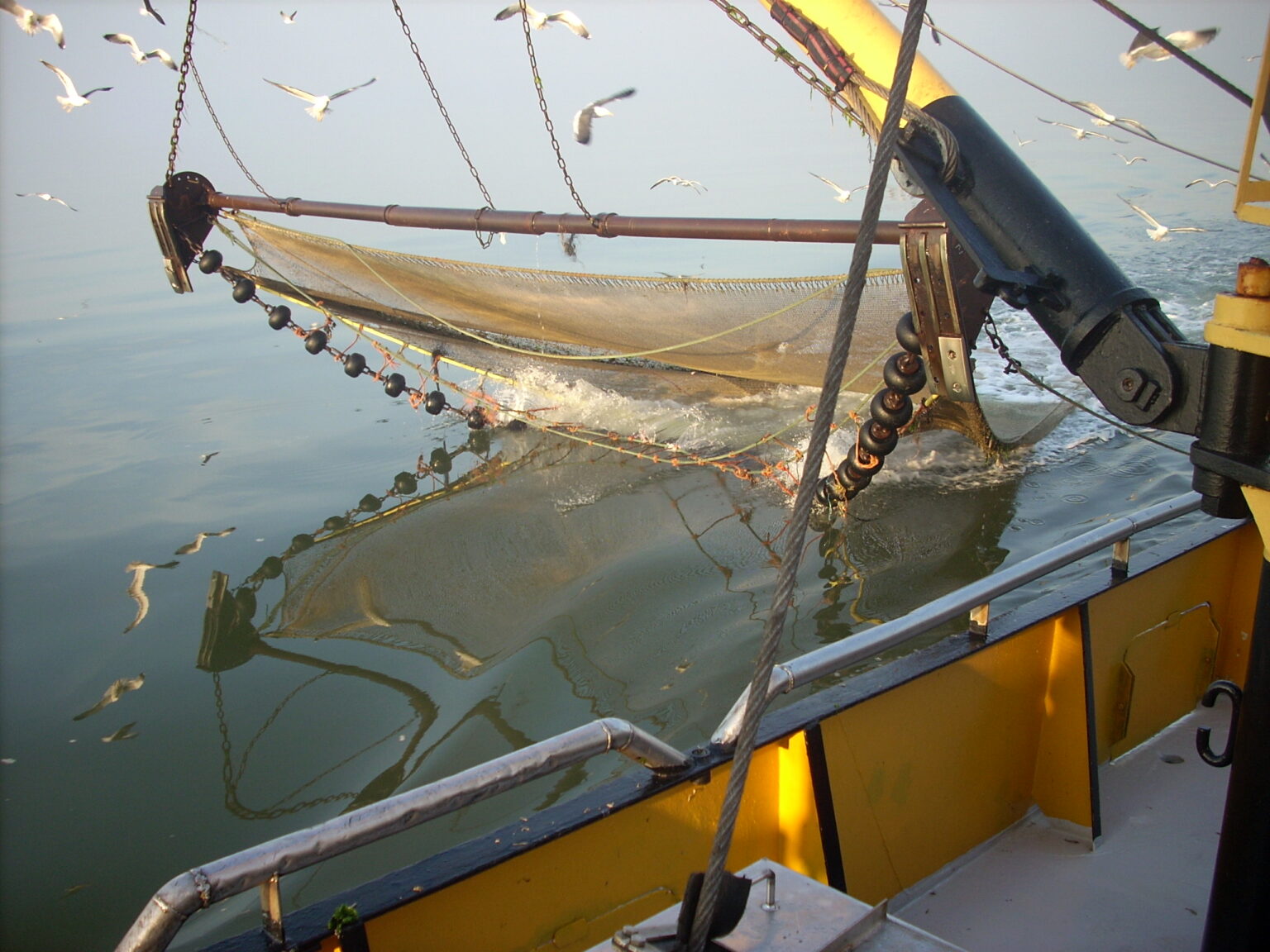 Over Visserij - Vissersbond