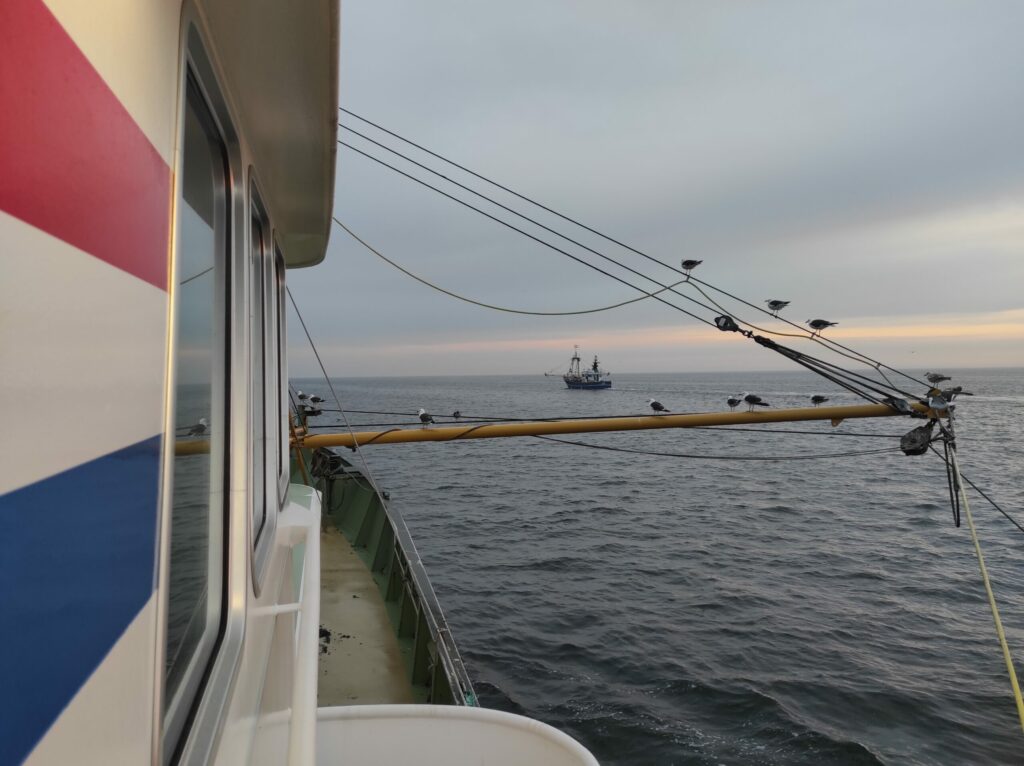 Waarom vis je waar je vist? - Kennis van schippers op de kottervloot ...